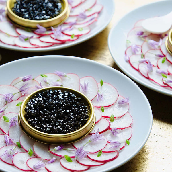 Calvisius Caviar USA | Premium Italian Caviar Online