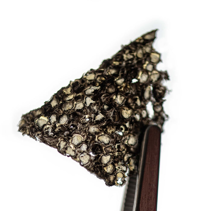 Calvisius Caviar Lingotto